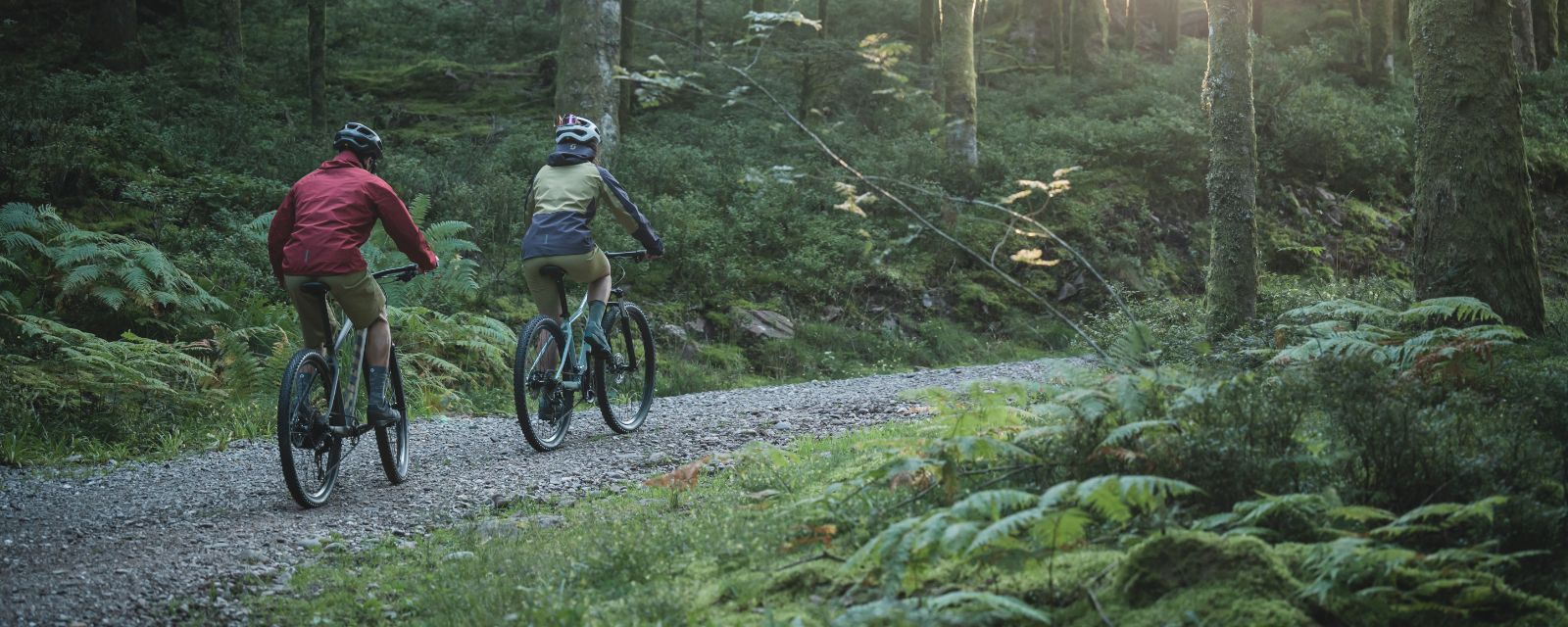 Pedal Inn Bicycle Garage - Bike Shop Brisbane